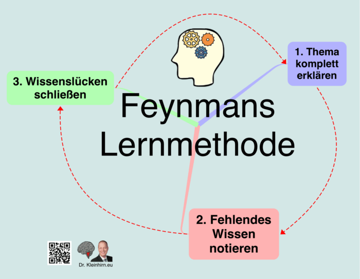 Das Kleinhirn und seine coolen Mindmaps